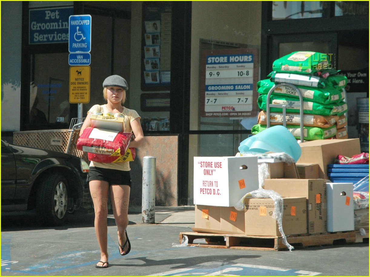 Panettiere Picks Up Puppy Chow: Photo 584611 | Photos | Just Jared ...
