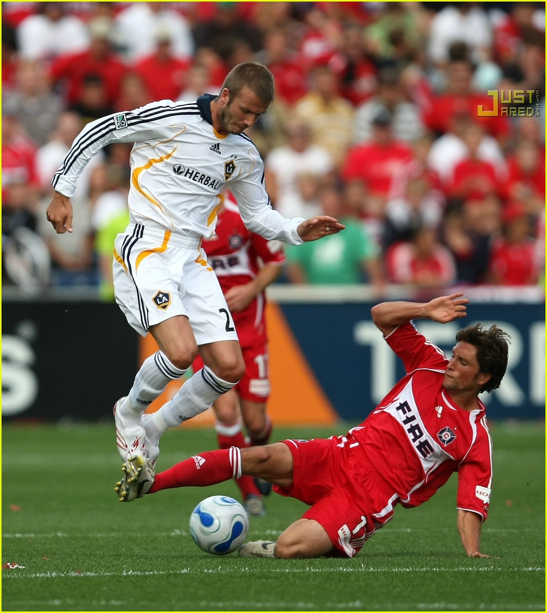 David Beckham: FAIL!: Photo 676231 | Photos | Just Jared: Celebrity ...
