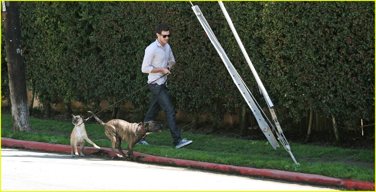 Adam Brody Wags the Dogs: Photo 1023961 | Photos | Just Jared ...