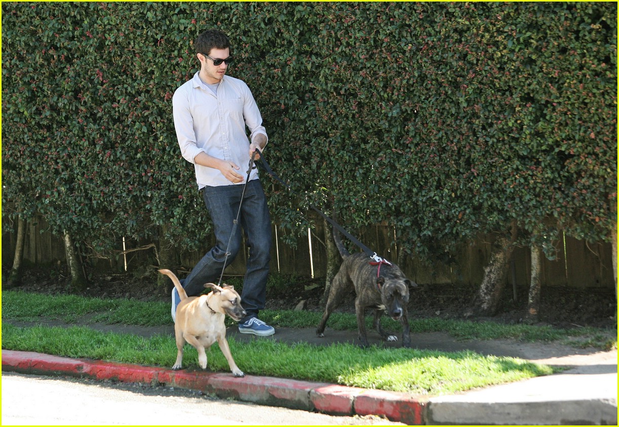 Adam Brody Wags the Dogs: Photo 1024041 | Photos | Just Jared ...