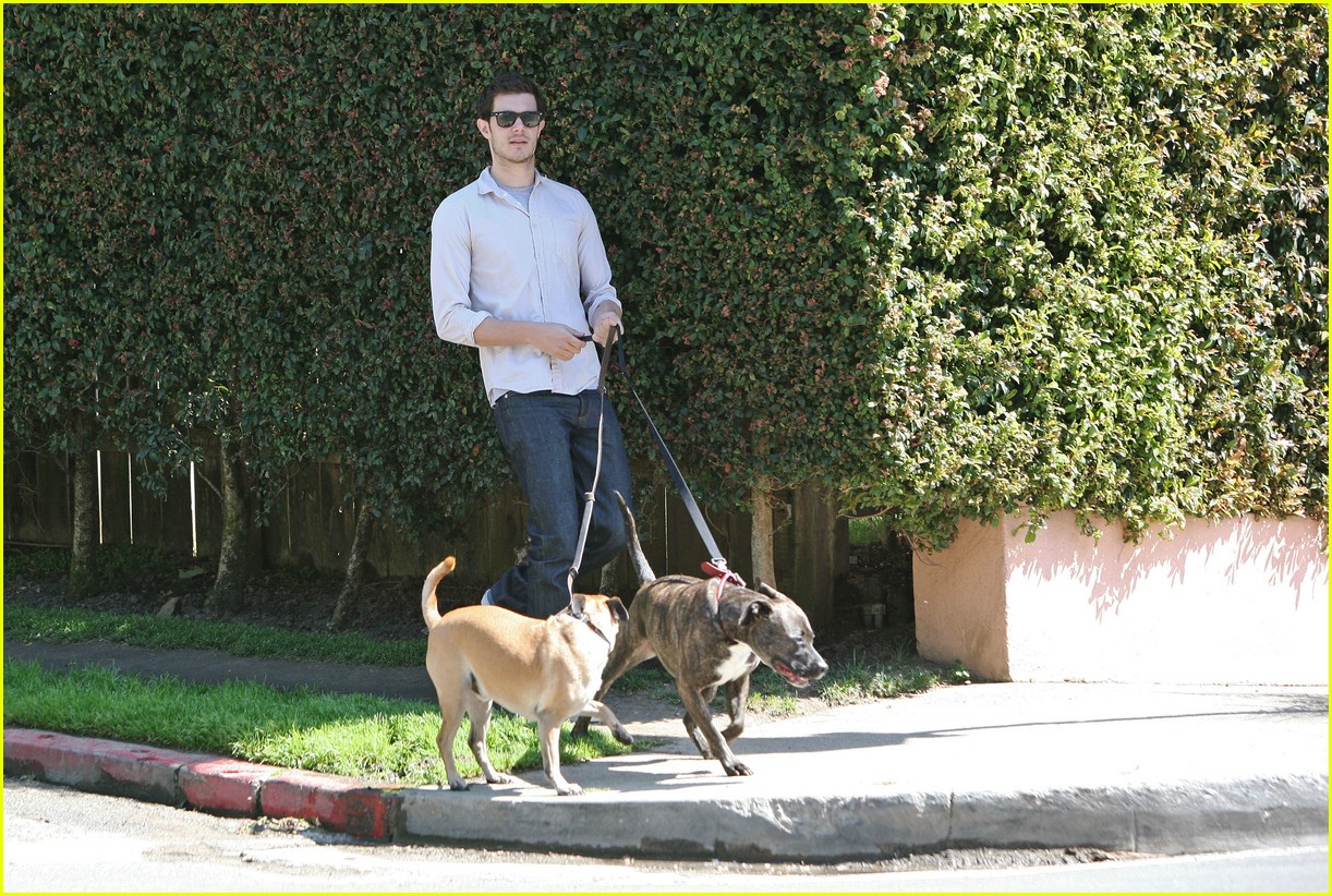 Adam Brody Wags the Dogs: Photo 1024081 | Photos | Just Jared ...