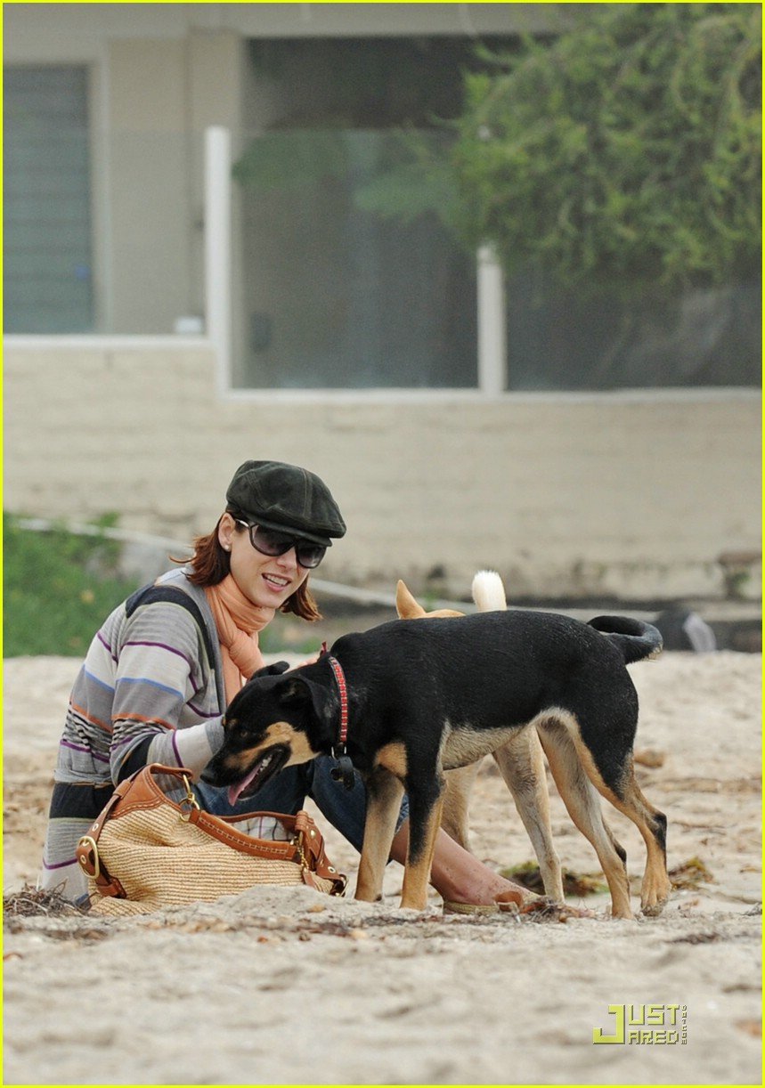 Kate Walsh: Pooch Playtime: Photo 1575111 | Kate Walsh Photos | Just ...