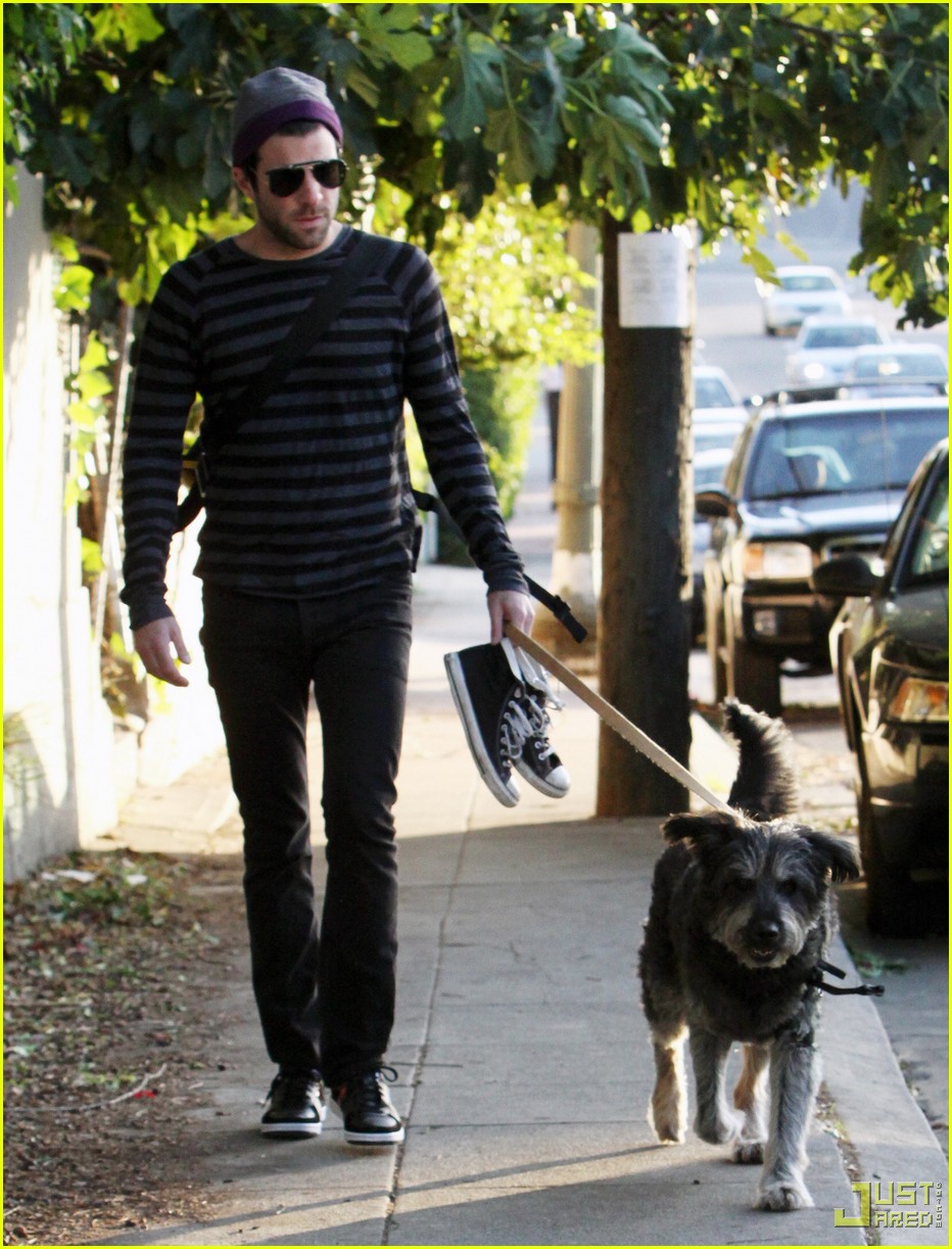 Zachary Quinto Walks His Furry Friend: Photo 2320732 | 00 Photos | Just ...