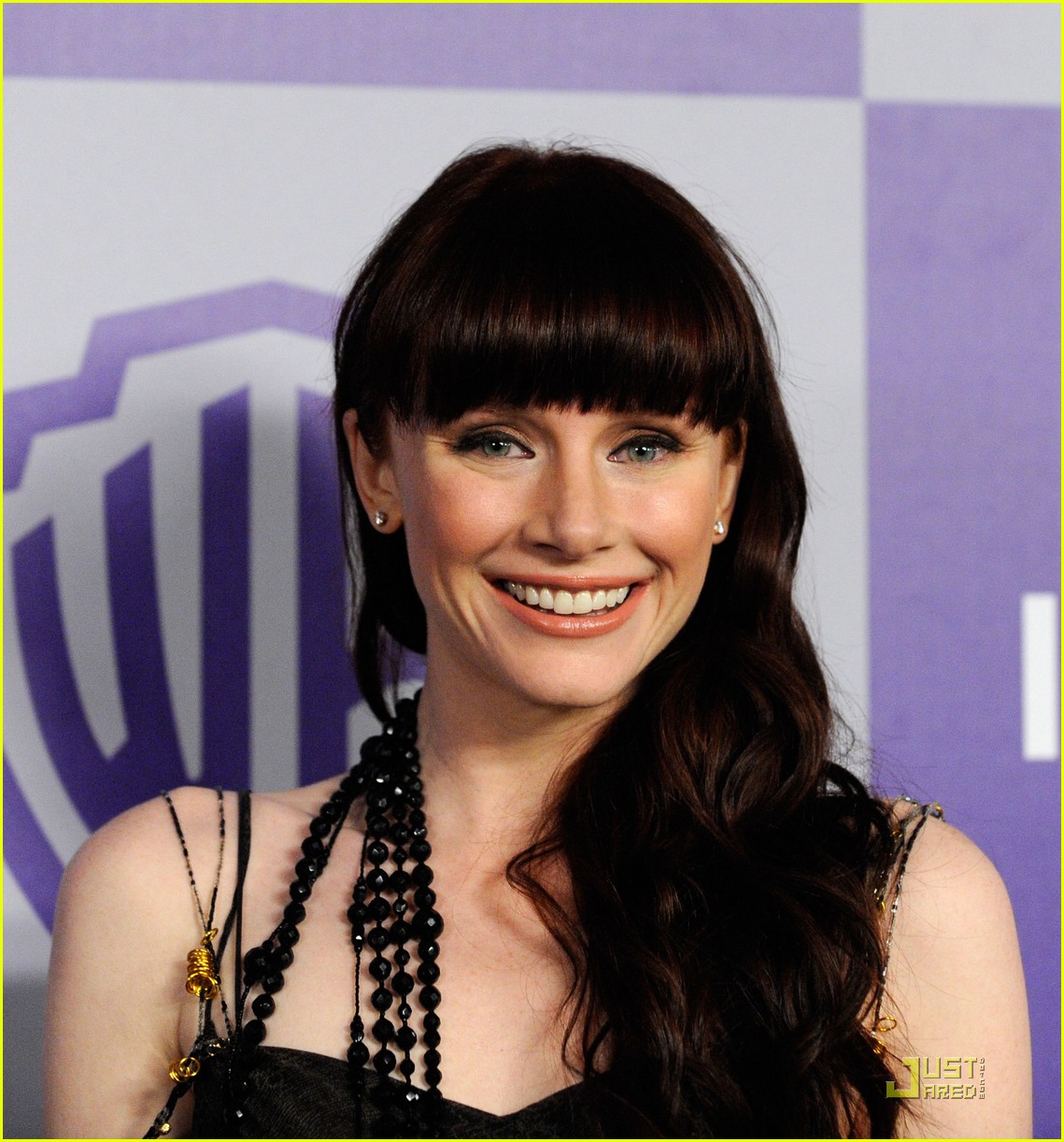 Bryce Dallas Howard - Golden Globes 2010 After Party: Photo 2410175 ...