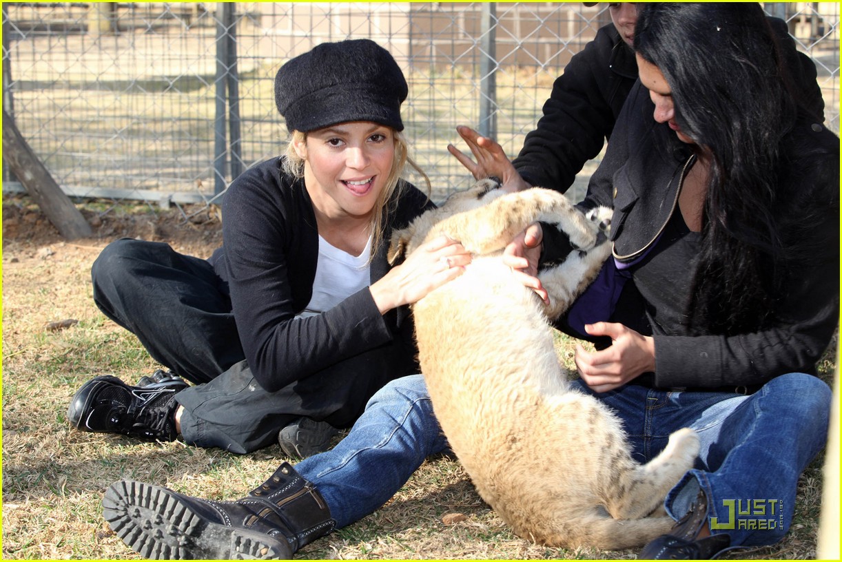 Shakira Gives Lions Share Of Love: Photo 2464666 | Shakira Photos ...