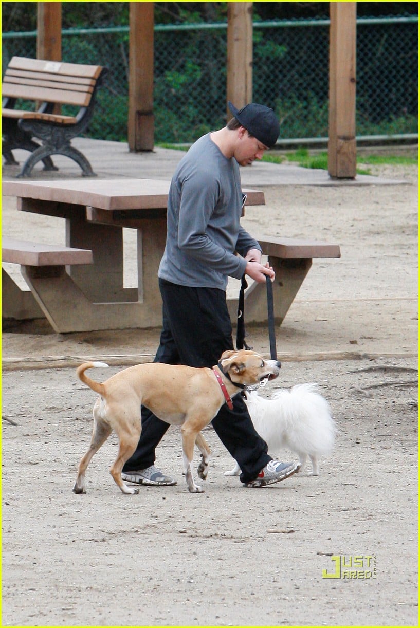 Channing Tatum: Dog Day Afternoon: Photo 2506001 | Channing Tatum ...
