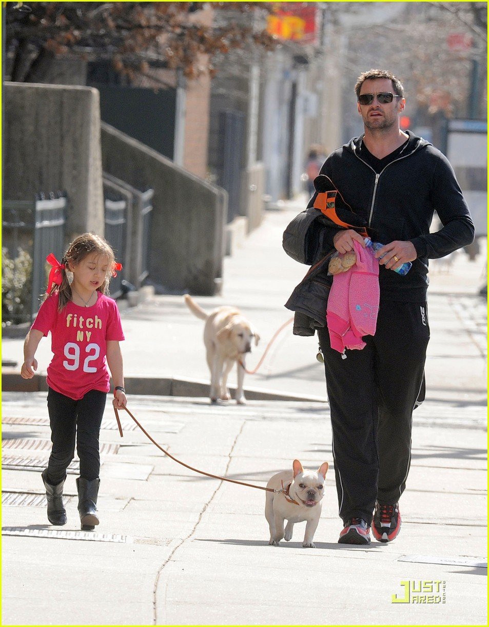 Hugh Jackman: Dog Walk with Ava!: Photo 2525313 | Ava Jackman ...