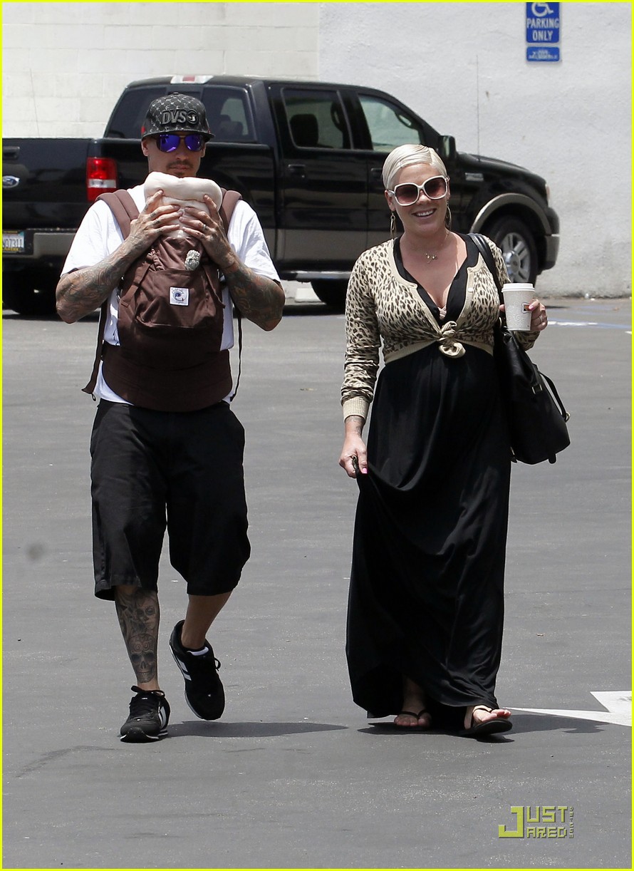 Pink: 'My Life is Snot, Tears, and the Color of Poop': Photo 2553228 ...