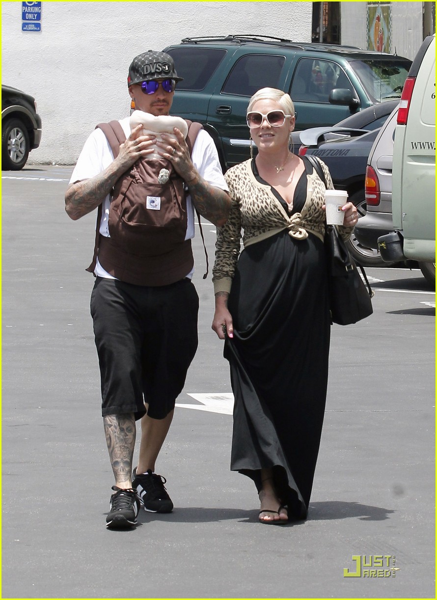 Pink: 'My Life is Snot, Tears, and the Color of Poop': Photo 2553229 ...