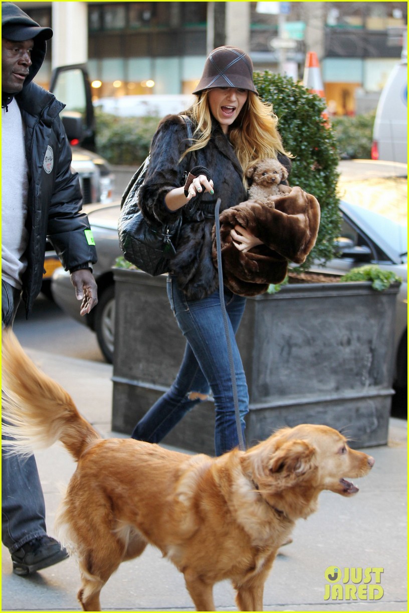 Blake Lively Spends Her Weekend With Ryan Reynolds: Photo 2609775 ...