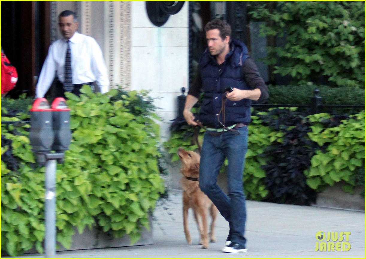 Ryan Reynolds: Dog Walking in Boston!: Photo 2611566 | Ryan Reynolds ...