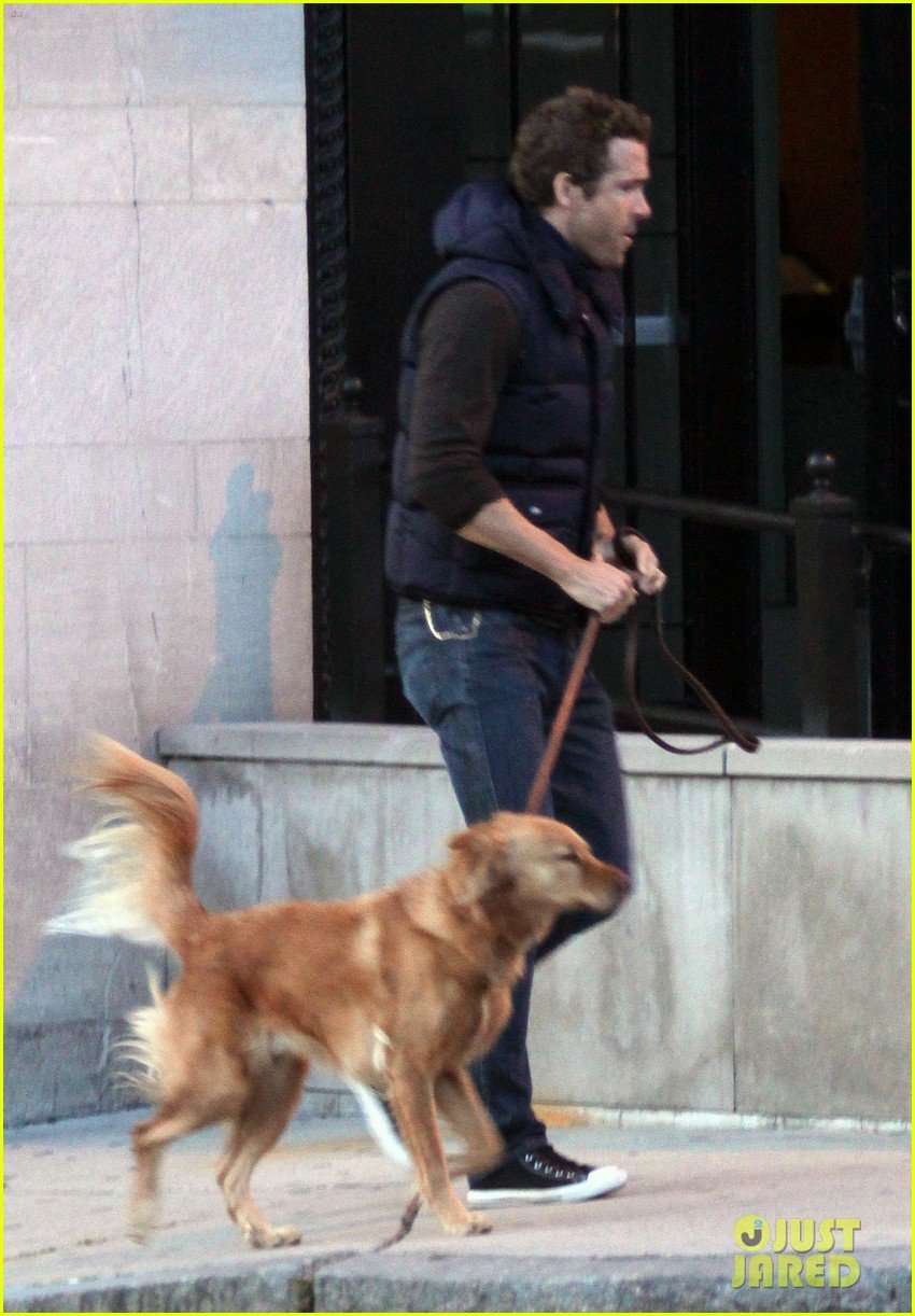 Ryan Reynolds: Dog Walking in Boston!: Photo 2611569 | Ryan Reynolds ...
