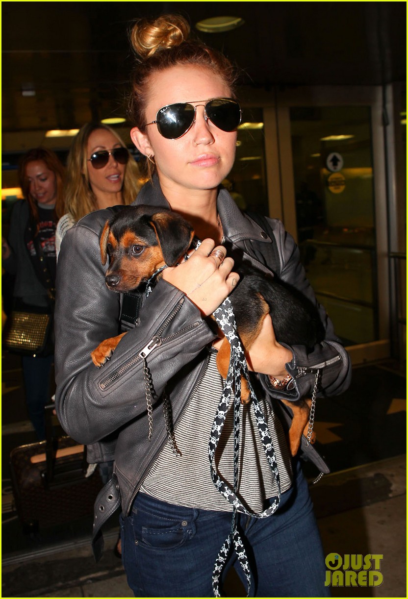 Miley Cyrus & Happy Hit Miami: Photo 2662414 | Liam Hemsworth, Miley ...