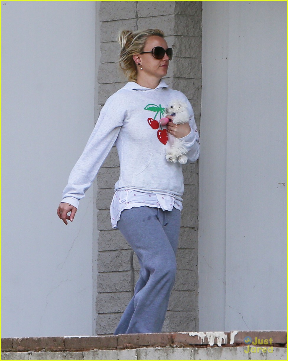 Britney Spears: Animal Hospital with New Pup & the Boys: Photo 2814709 ...