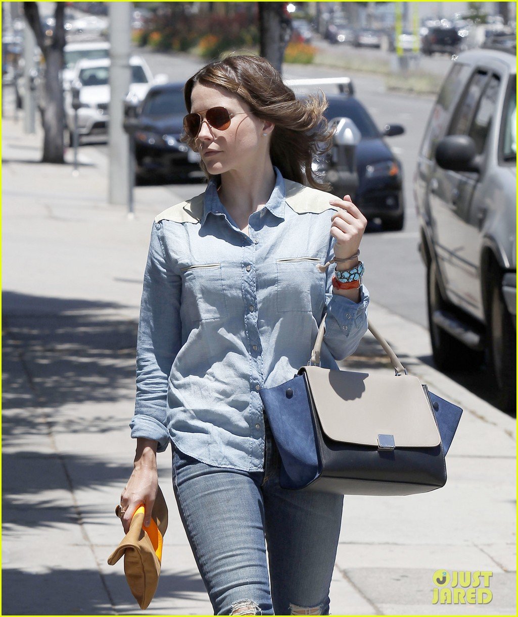 Sophia Bush: My Personal Life is Private!: Photo 2880659 | Sophia Bush ...