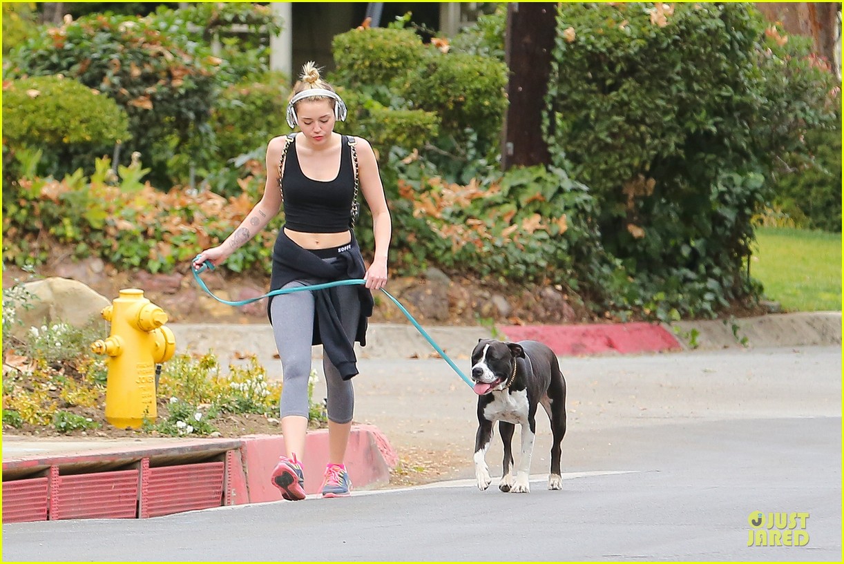 Miley Cyrus Bares Midriff While Walking Dog Mary Jane!: Photo 3024610 ...