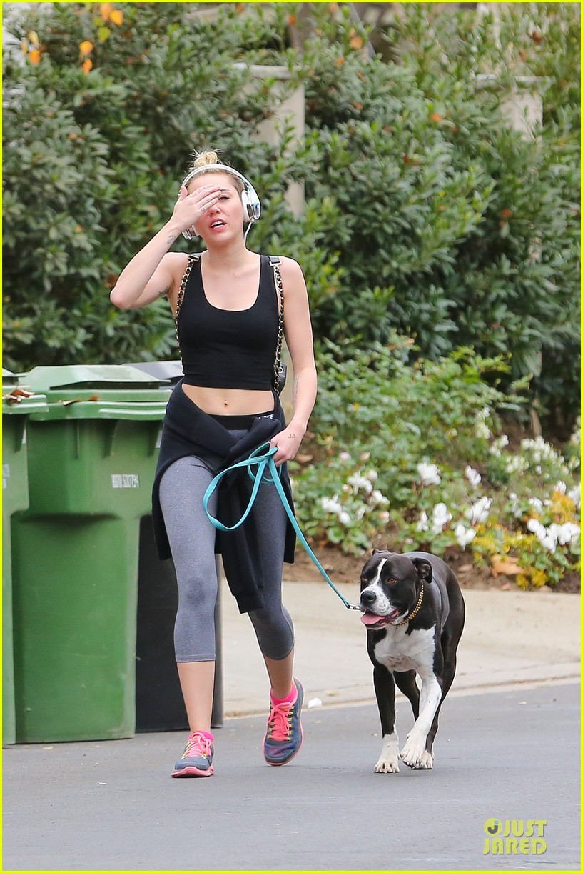 Miley Cyrus Bares Midriff While Walking Dog Mary Jane!: Photo 3024623 ...