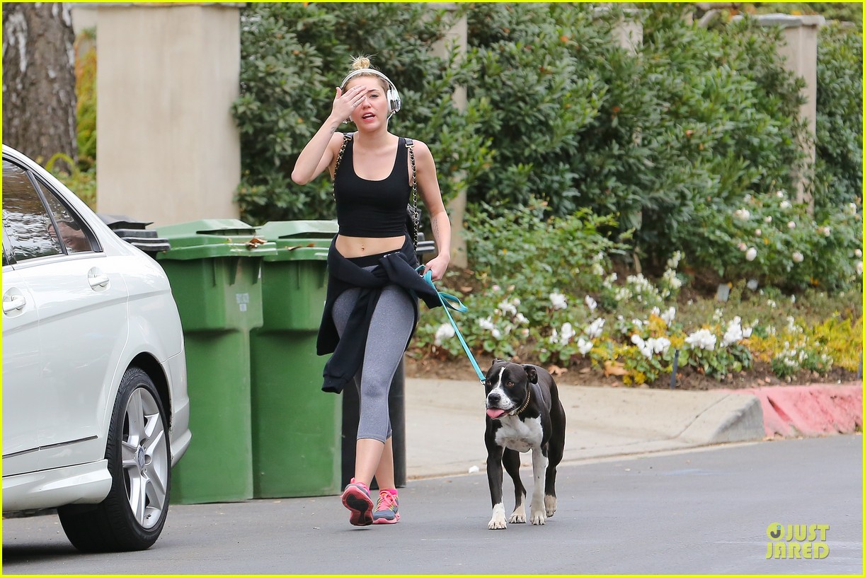 Miley Cyrus Bares Midriff While Walking Dog Mary Jane!: Photo 3024627 ...