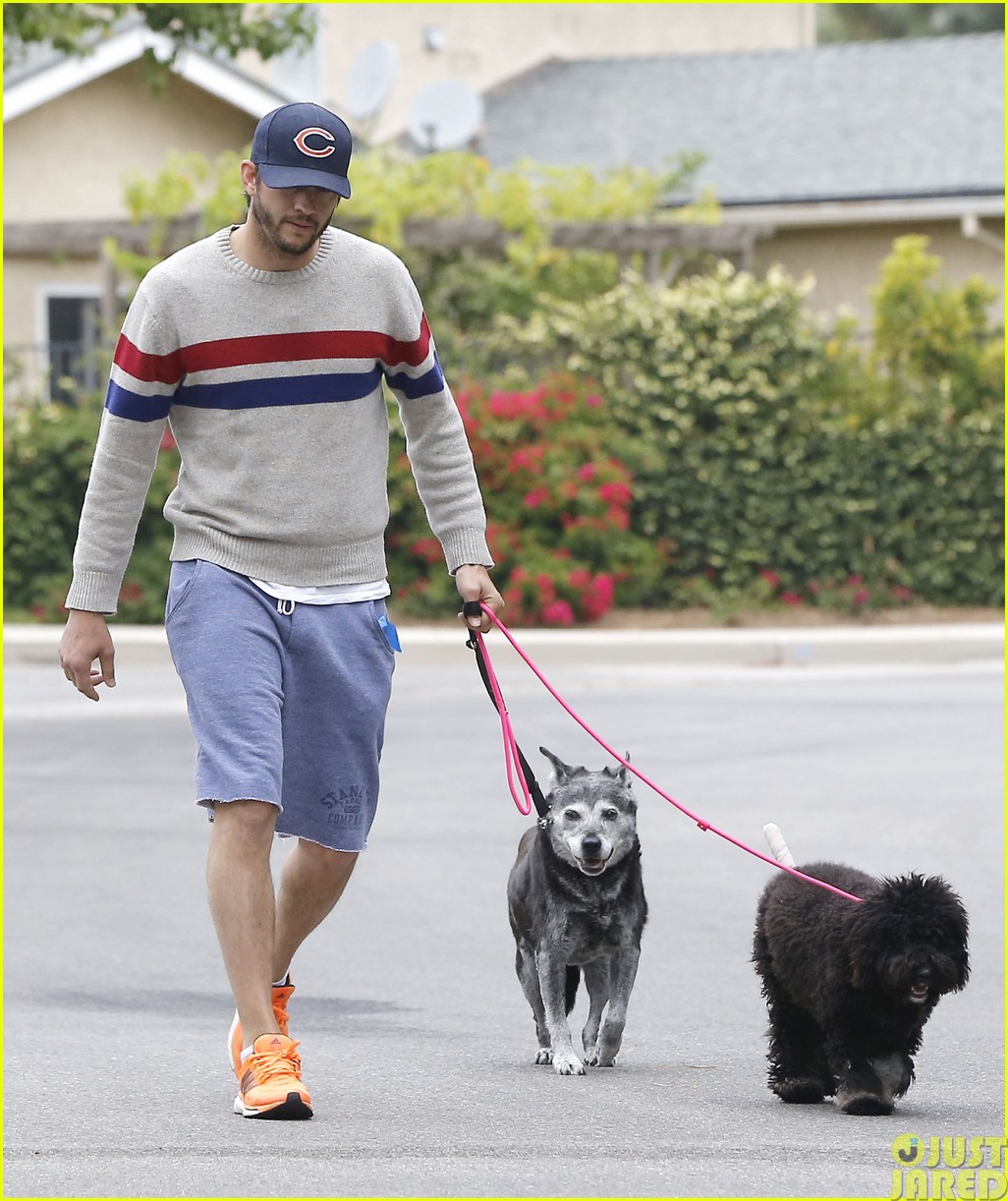 Ashton Kutcher Takes His Dogs For a Walk Without Mila Kunis!: Photo ...