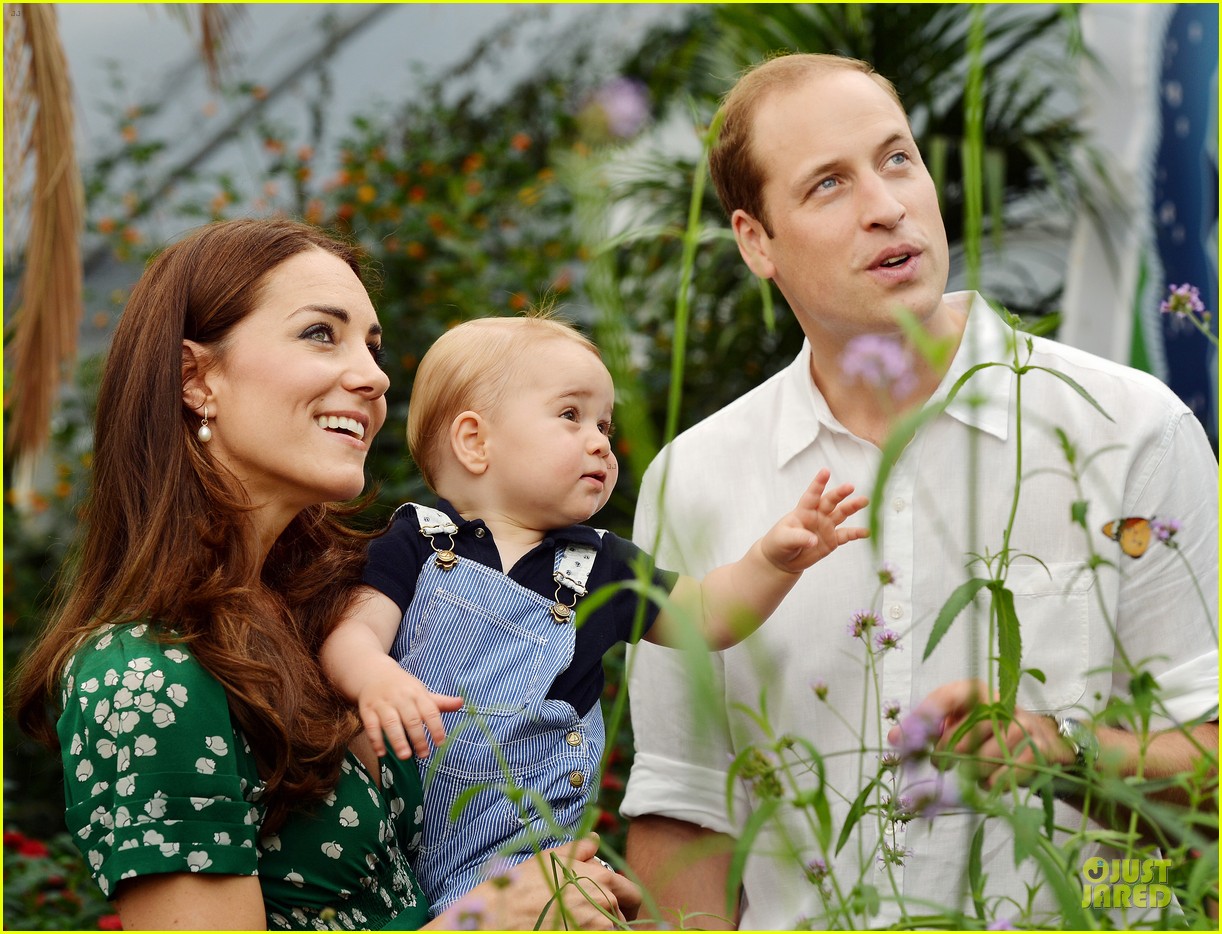 Prince George Looks Pretty Adorable Touching a Butterfly!: Photo ...