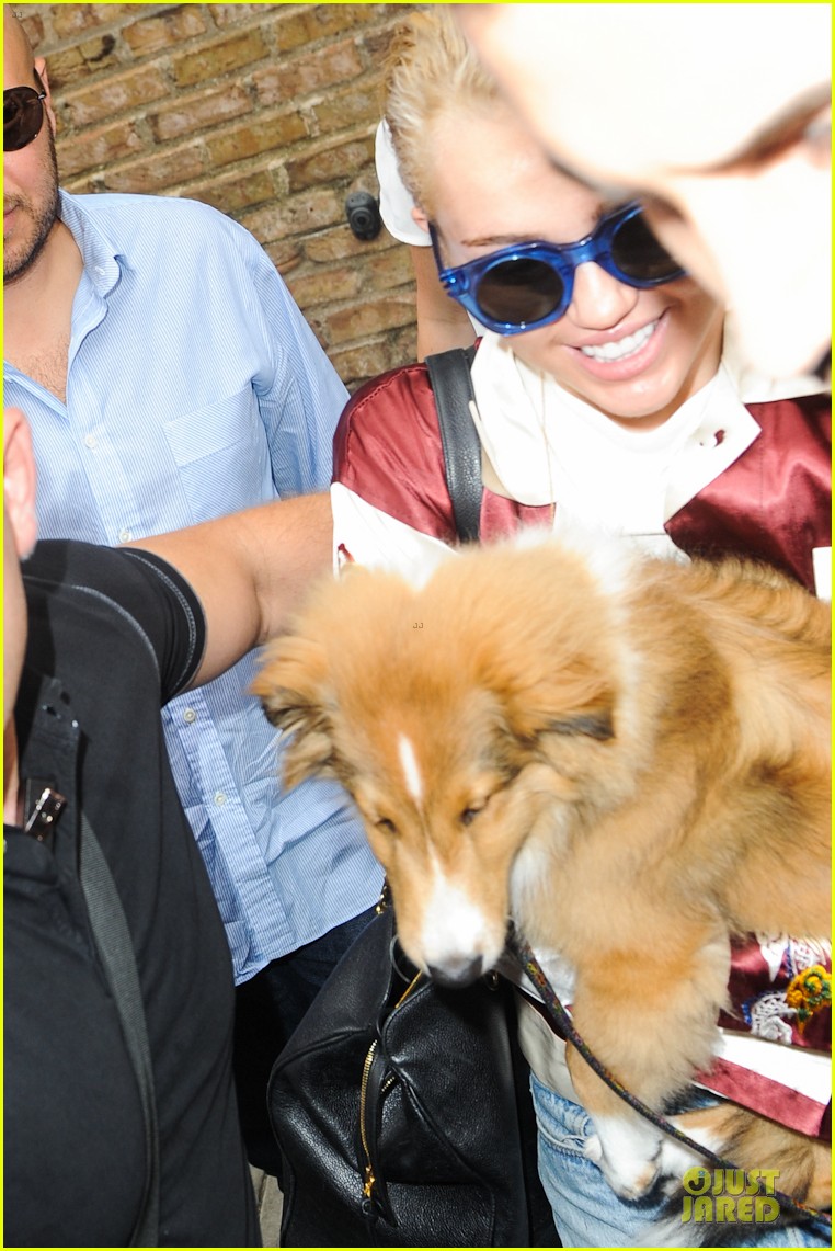 Miley Cyrus Smiles Wide With Puppy Emu By Her Side: Photo 3168811 ...