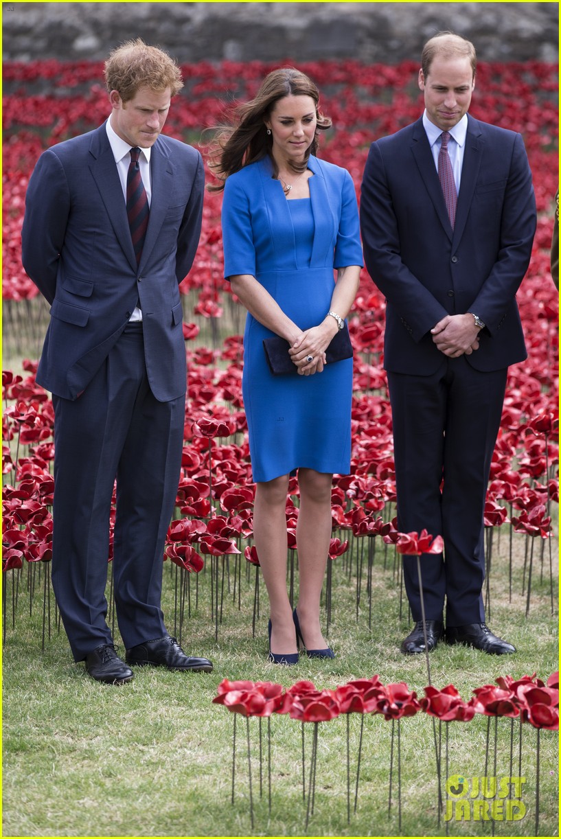 Kate Middleton & Prince William Visit Stunning Ceramic Poppy ...