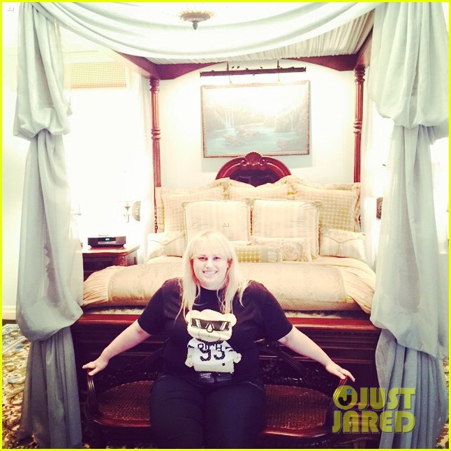 Hailee Steinfeld & Rebel Wilson Hit Up Disneyland With Their Fellow ...