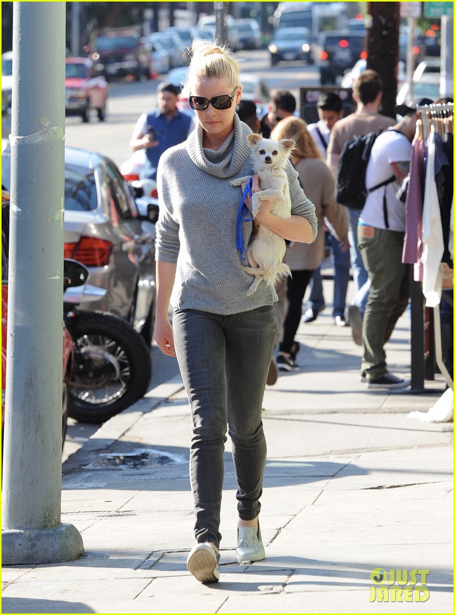 Katherine Heigl Would Love to Do a 'Life as We Know It' Sequel With ...