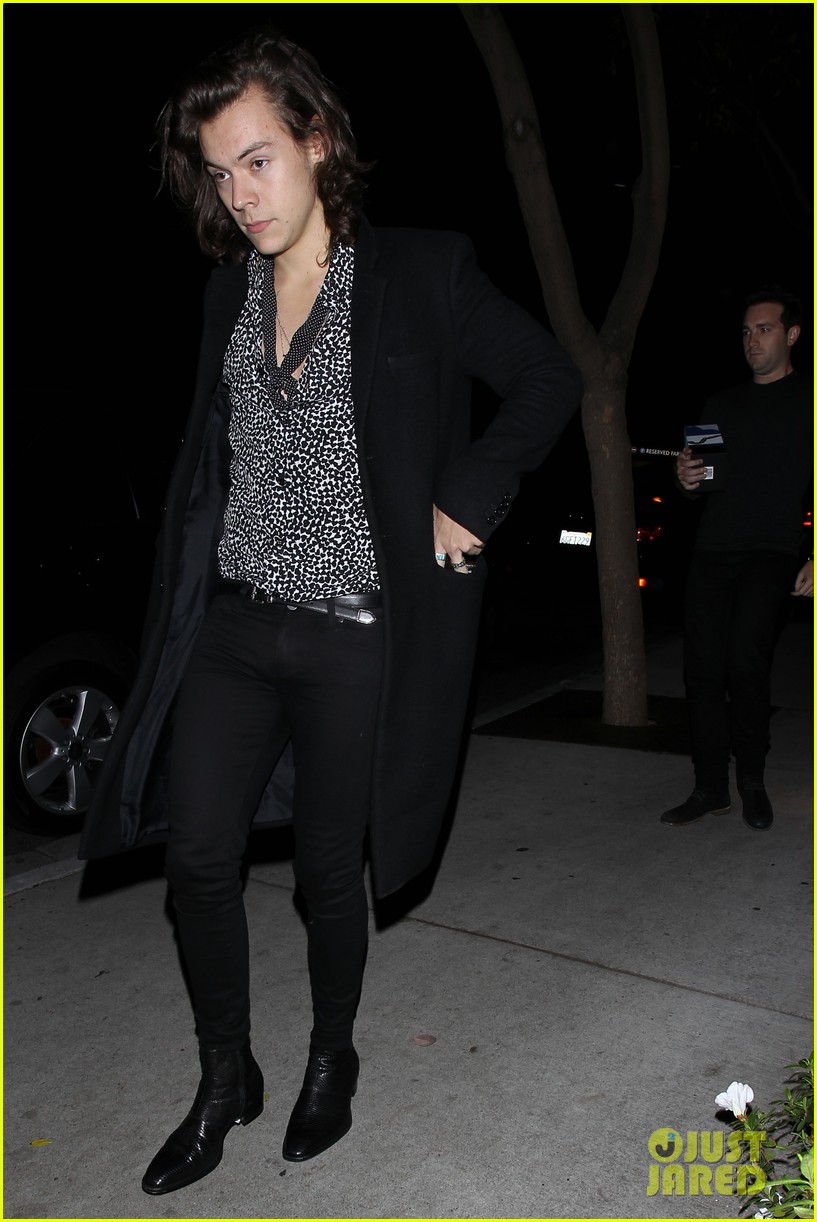 Harry Styles & Taylor Swift Spotted Before Awkward Run-In: Photo ...