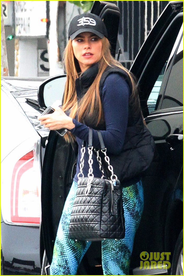 Sofia Vergara's Ex Nick Loeb Reportedly Dating Katheryn Winnick?: Photo ...