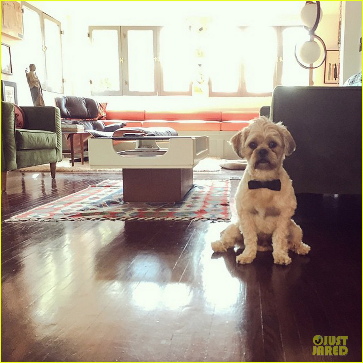 The Newsroom's Alison Pill Marries Joshua Leonard - See Wedding Photos ...