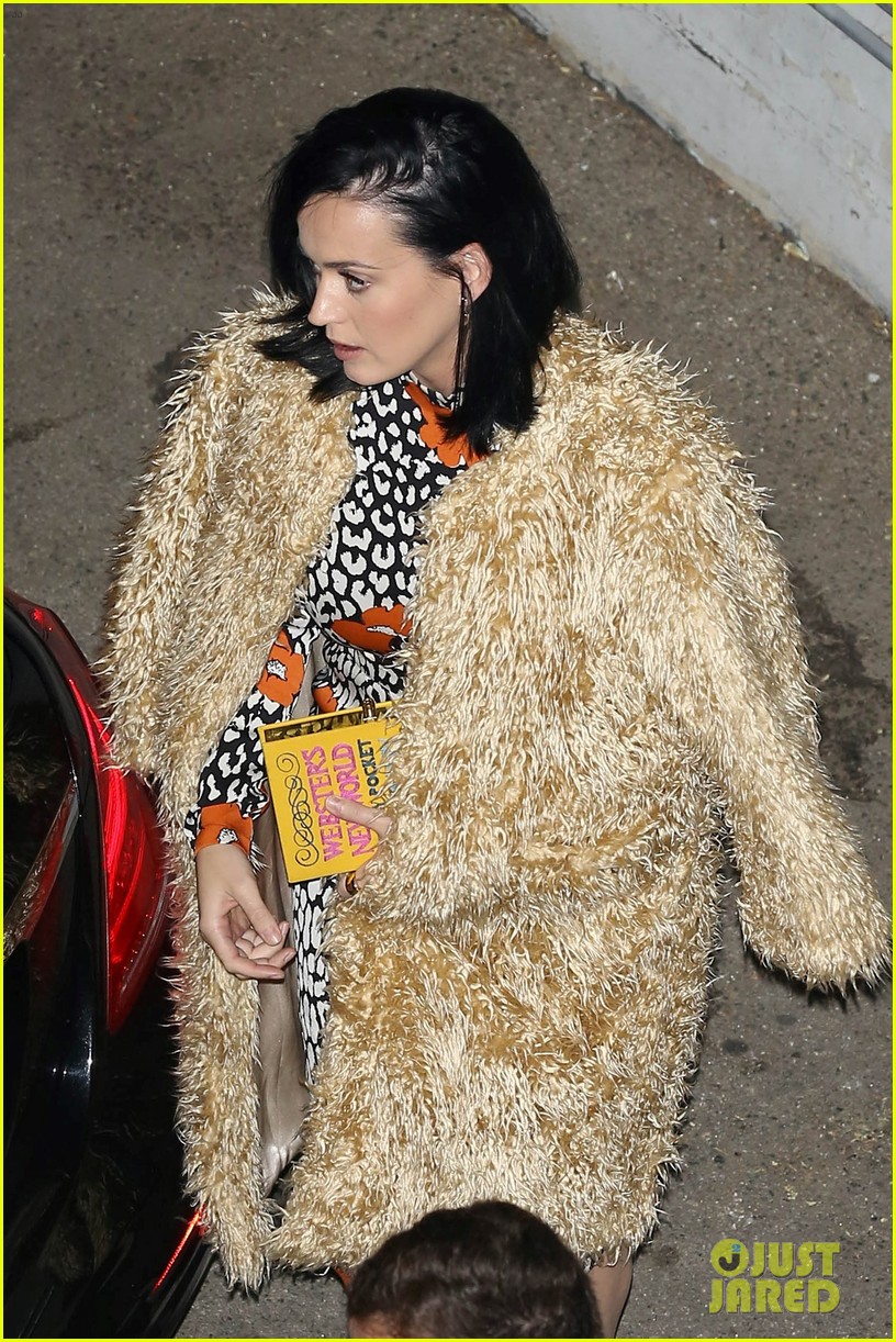 Katy Perry & Orlando Bloom Flaunt Lots of PDA in Hawaii (Video): Photo ...