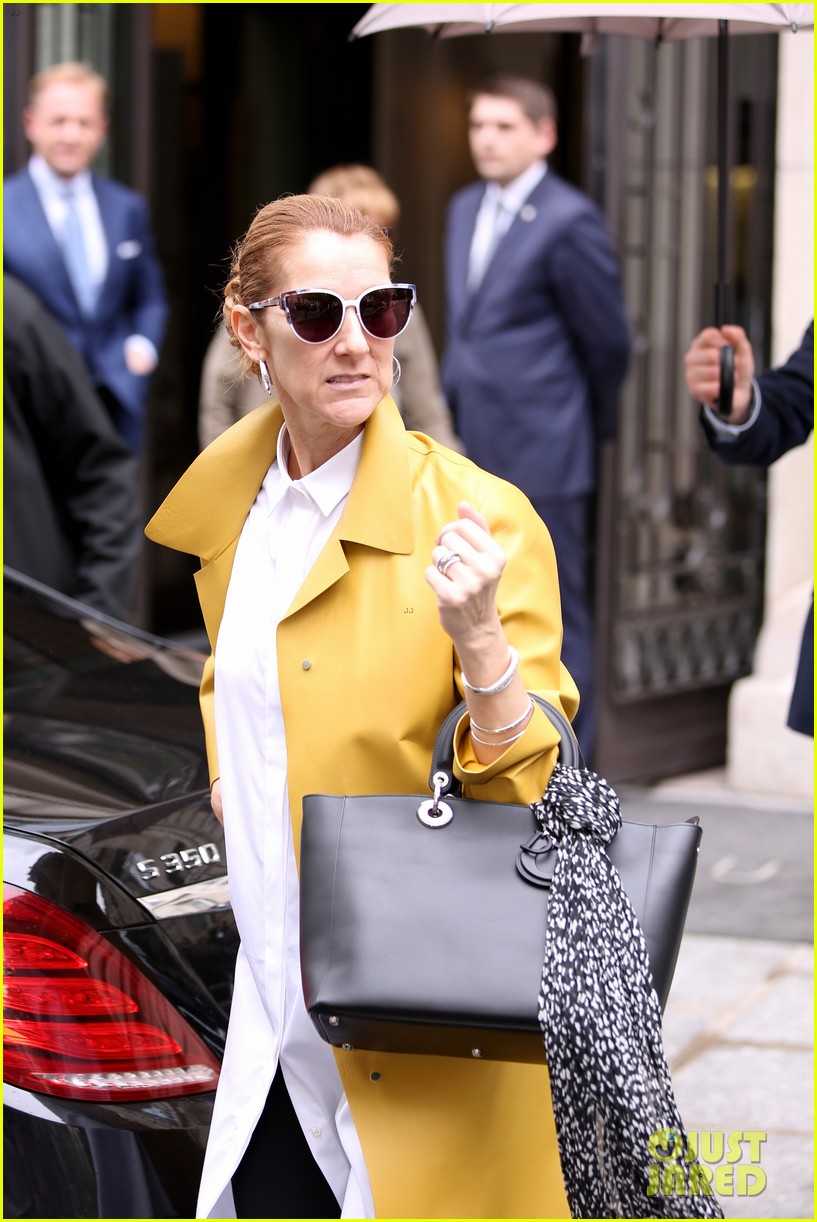 Celine Dion Arrives in Paris for Summer European Tour: Photo 3688596 ...