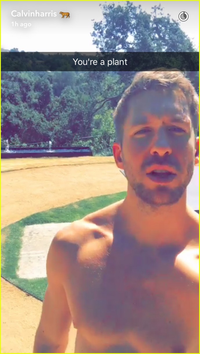 Calvin Harris Goes Shirtless on Snapchat to Celebrate VMA Noms!: Photo ...