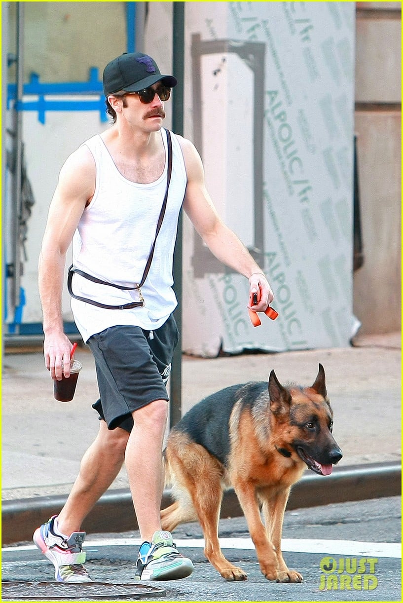 Jake Gyllenhaal Shows His Bulging Biceps in a Tight Tank: Photo 3710499 ...