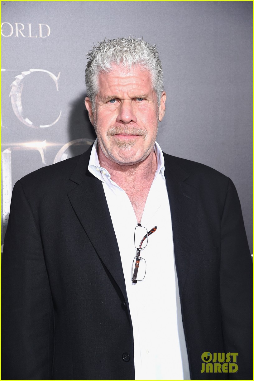 Ron Perlman Announces He Will Run for President in 2020: Photo 3805921 ...