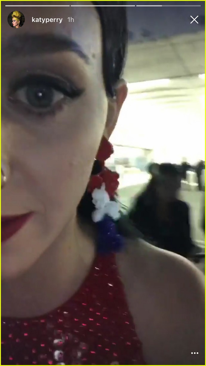 VIDEO: Katy Perry Says Her Parents Voted for Donald Trump: Photo ...