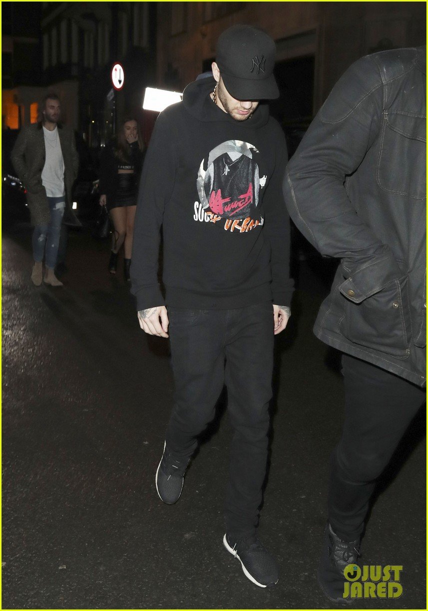 Liam Payne Hangs Out With 'Genius' Drake Backstage in London: Photo ...