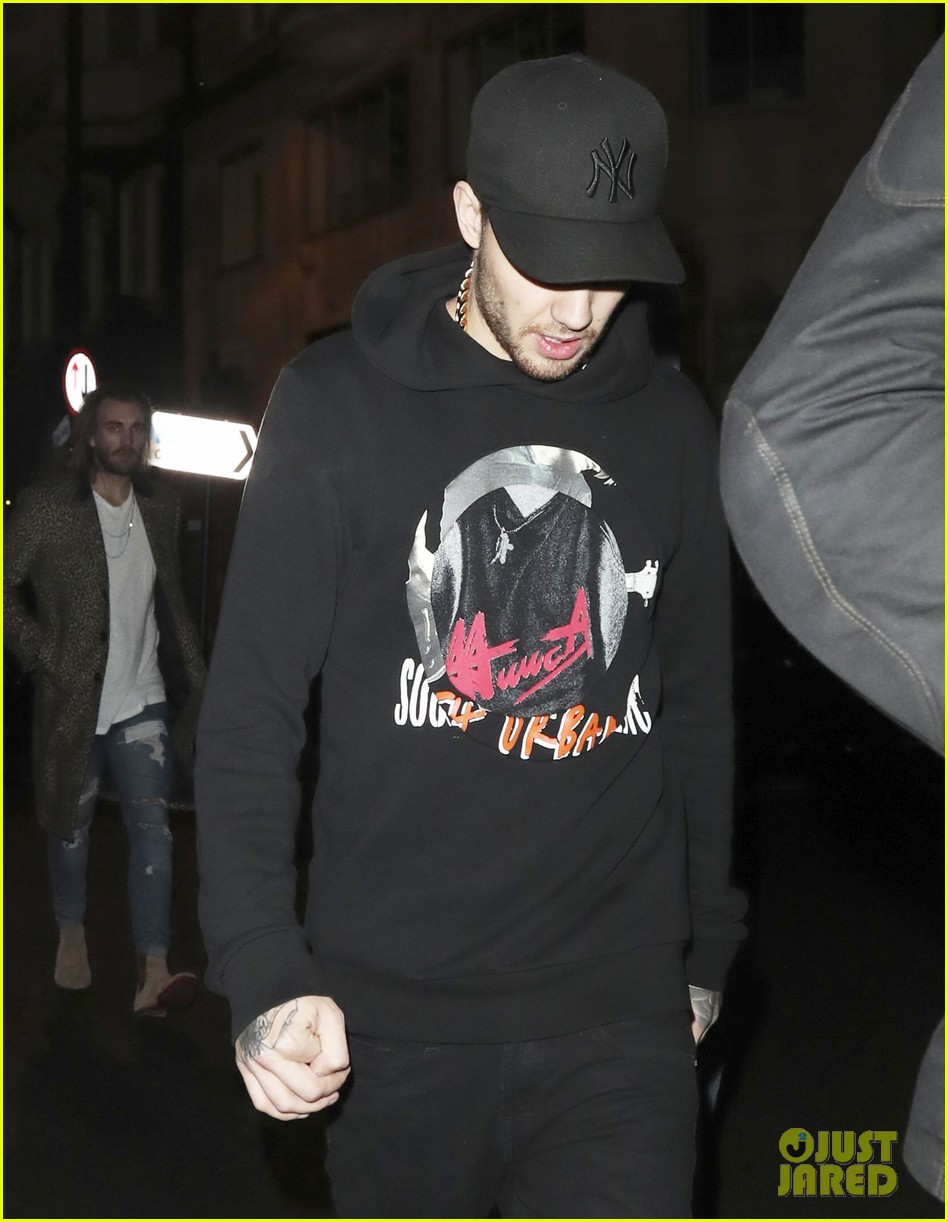 Liam Payne Hangs Out With 'Genius' Drake Backstage in London: Photo ...