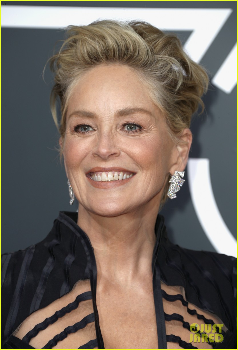 Michelle Pfeiffer, Sharon Stone & Gillian Anderson Hit the Red Carpet ...