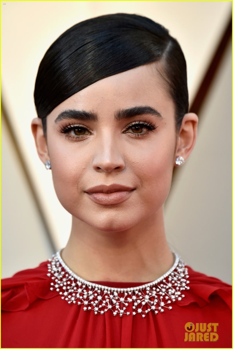 Disney Star Sofia Carson Kicks Off Oscars 2018 Red Carpet!: Photo 4043800 | Oscars Photos | Just ...