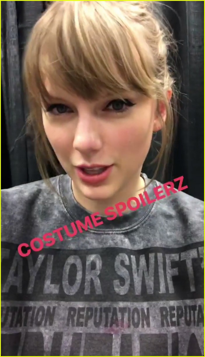 Taylor Swift Teases Costumes for 'reputation' Tour!: Photo 4076566 ...