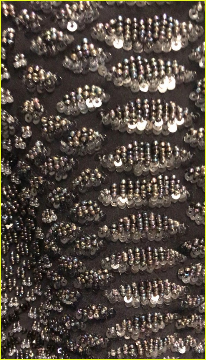 Taylor Swift Teases Costumes for 'reputation' Tour!: Photo 4076568 ...