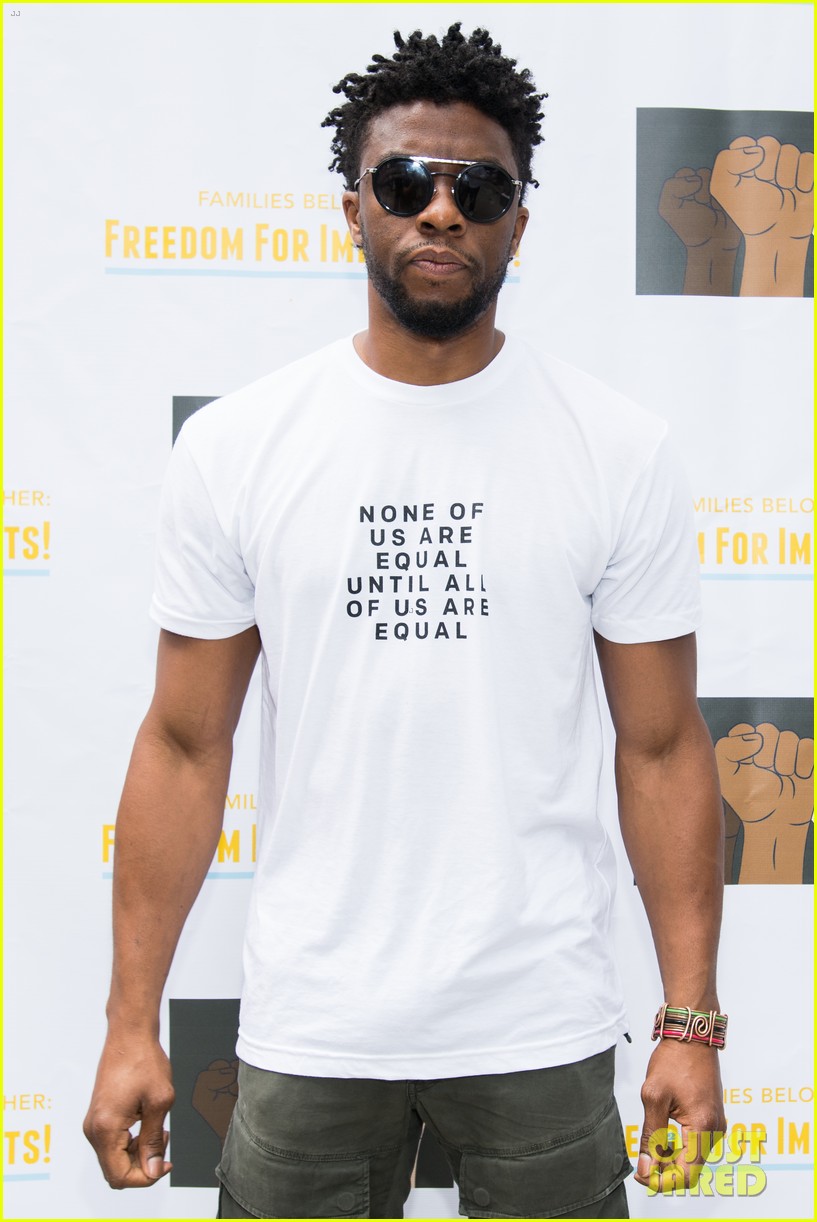 Chadwick Boseman, Laura Dern, & Joshua Jackson March in Families Belong ...