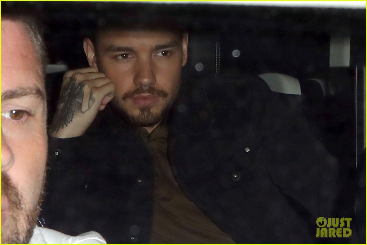 Liam Payne Parties With Drake at 'Scorpion' Album Launch Party: Photo ...