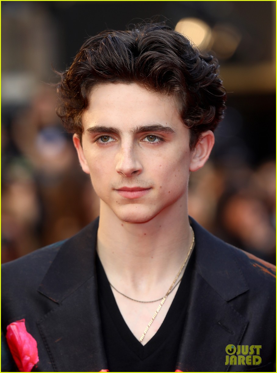 Timothee Chalamet Wears Floral-Print Suit to 'Beautiful Boy' UK ...