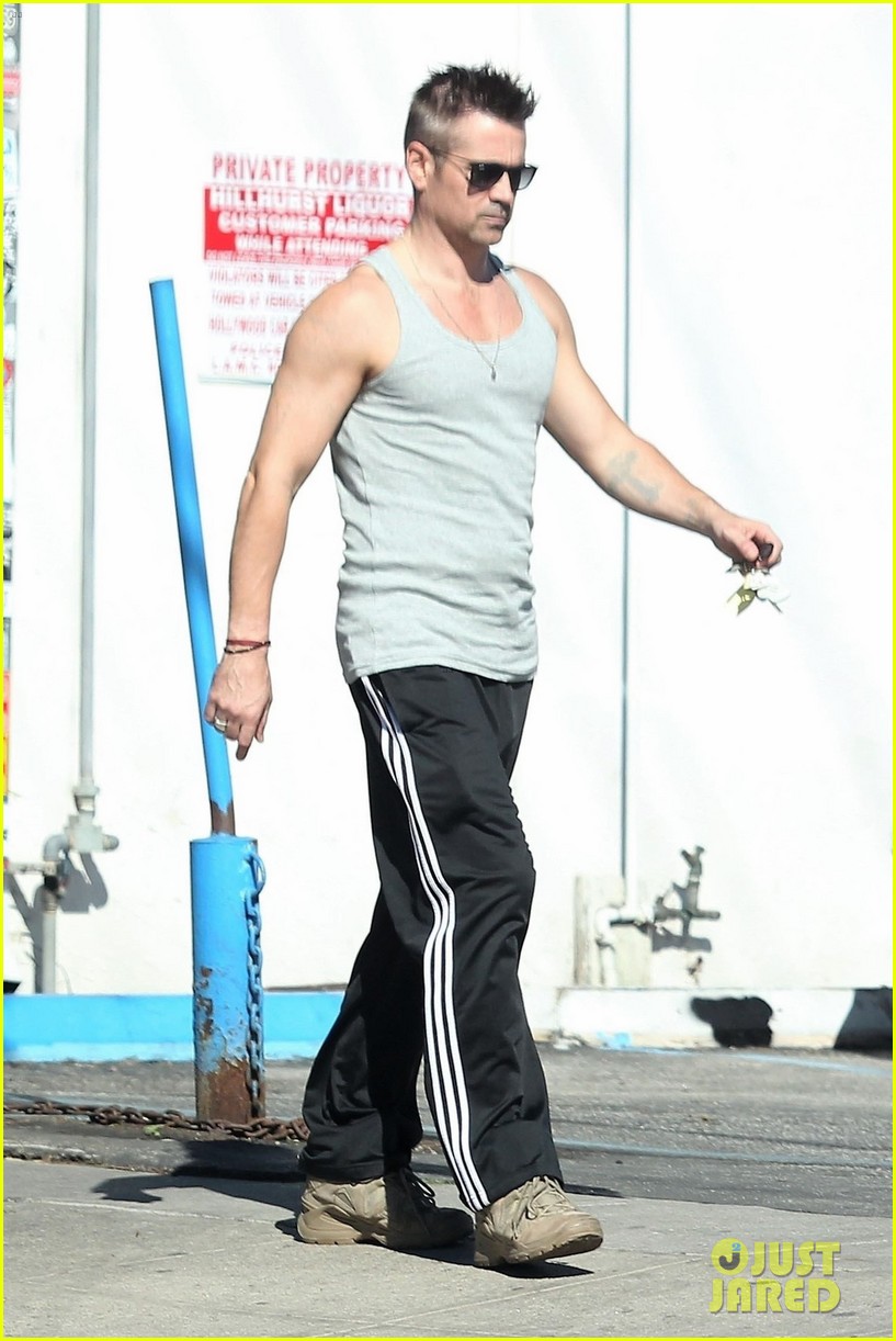 Colin Farrell Bares His Toned Muscles in a Tank Top: Photo 4168737 ...
