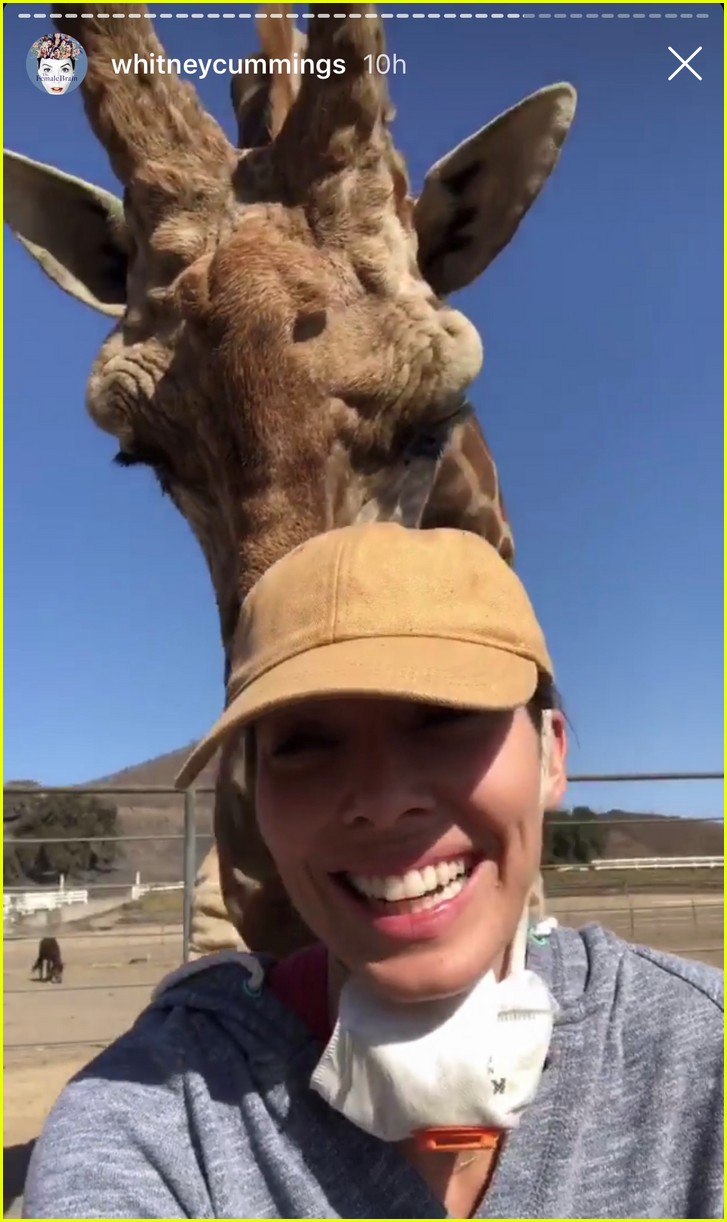 Whitney Cummings Calls Out Malibu Wines for Not Evacuating Stanley the ...