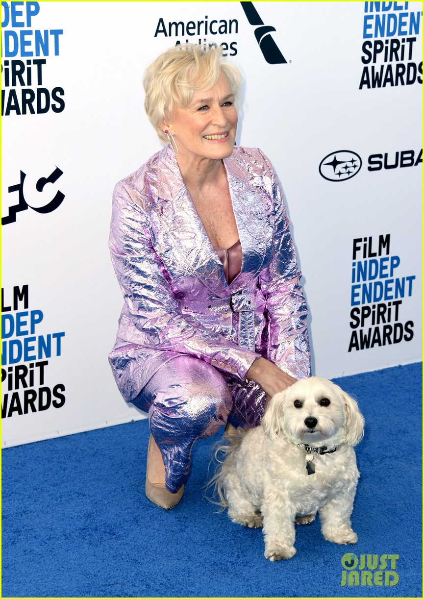 Glenn Close Brings Her Dog Pip to Spirit Awards 2019!: Photo 4243536 ...