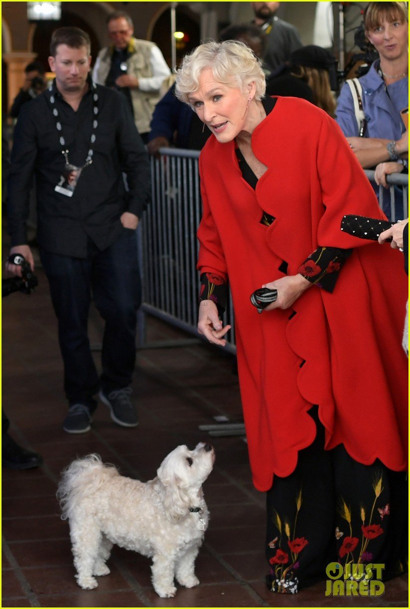Glenn Close's Dog Pip Joins Her to Accept an Award!: Photo 4223163 ...
